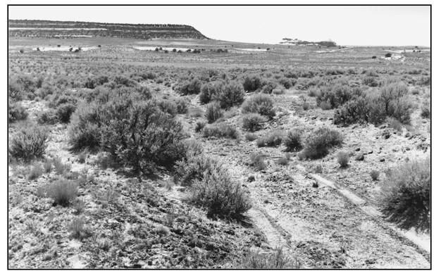 Dry Valley 2 (near Deer Neck Mesa) | San Juan County UT